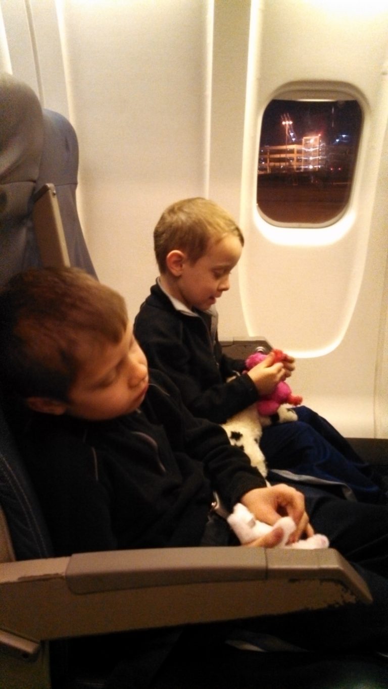 The Ultimate Guide on How to Fly with Toddlers When They Outnumber You ...